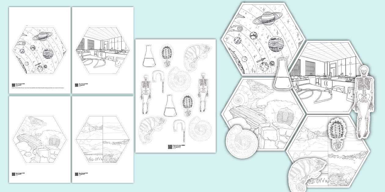 Science Week Hexagon Display Colouring Activity - Twinkl