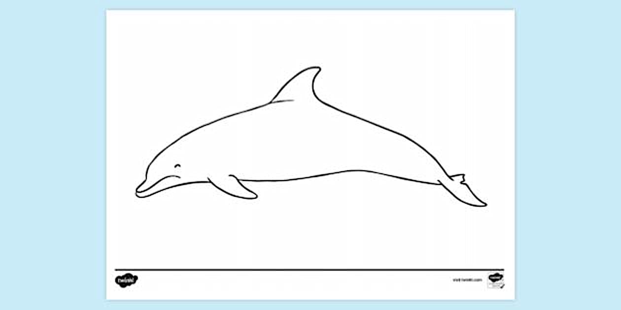 Dolphin Colouring | Colouring Sheets (teacher made) - Twinkl