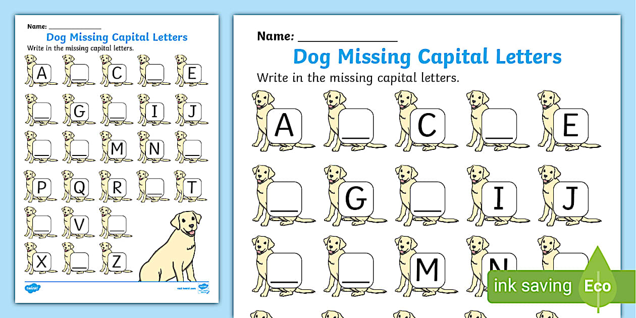 Dog Missing Capital Letters Worksheet - Twinkl