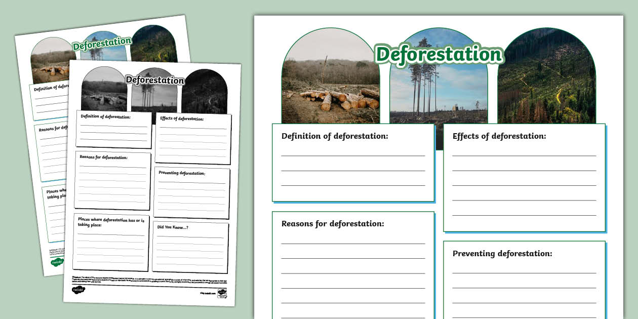 Deforestation Fact File Template (Teacher-Made) - Twinkl