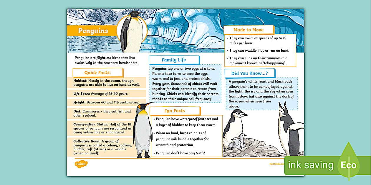 Penguins Fact File - Twinkl - KS2 - Animals (teacher made)