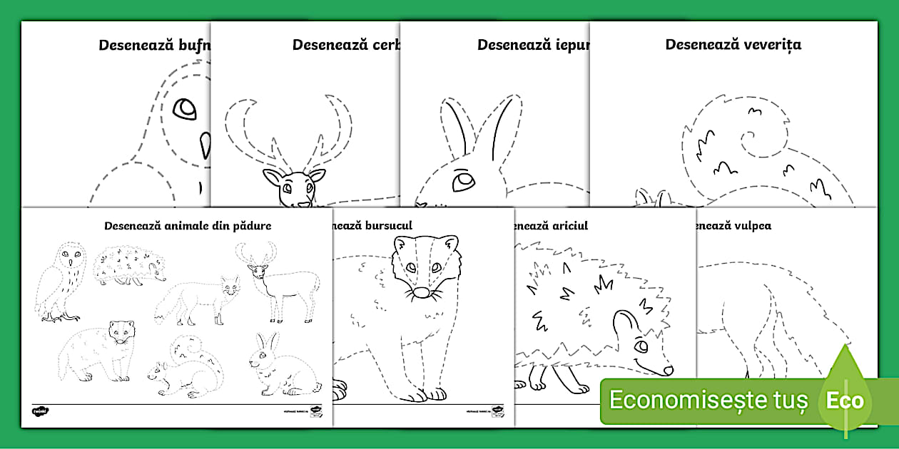 Desenează animale din pădure – Trasare după model