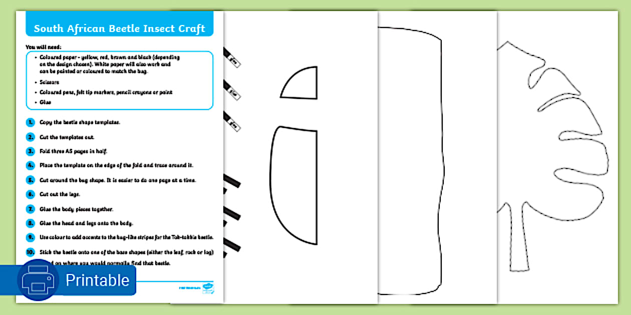 South African Beetles - Insect Paper Craft (teacher made)