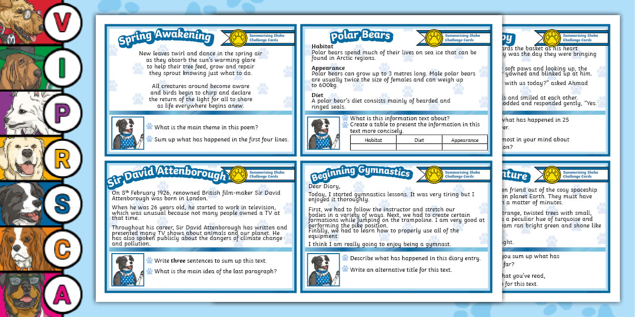 LKS2 Summarising Sheba Challenge Cards (teacher made)