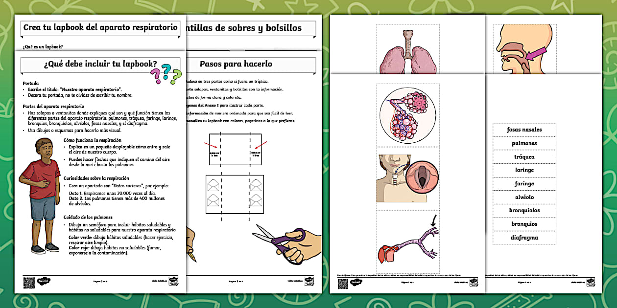 Ficha de actividad: El aparato respiratorio