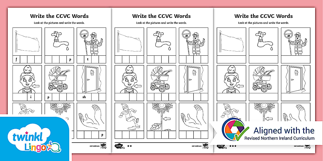 Write the CCVC Words Activity Sheets - Twinkl NI - Twinkl