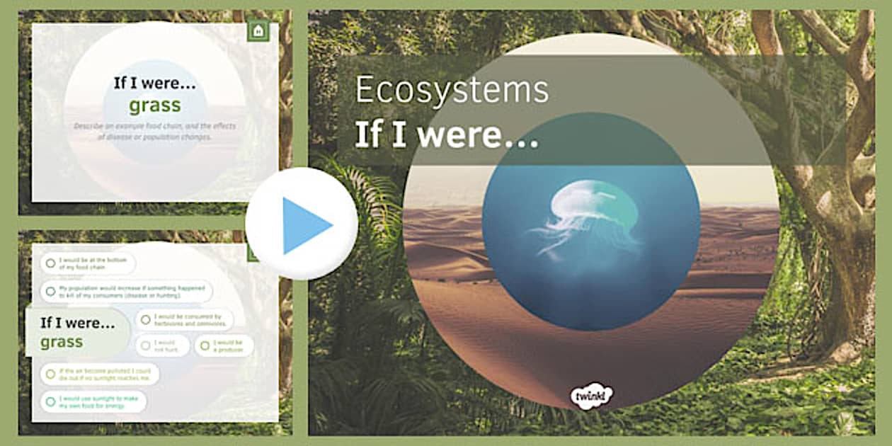 KS3 Ecosystems: If I were.... PowerPoint (teacher made)