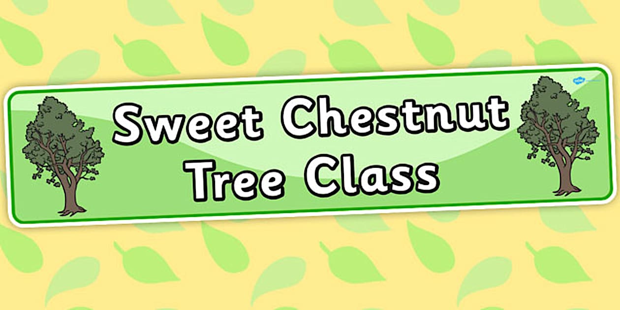 Sweet Chestnut Tree Themed Classroom Display Banner - plants