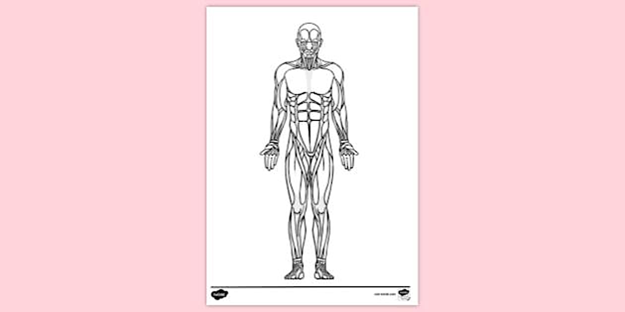 The Body Colouring Sheet (teacher made) - Twinkl