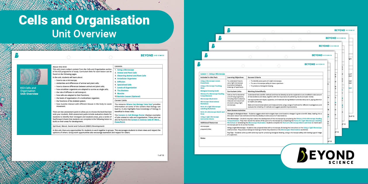 KS3 Cells and Organisation Unit Overview | Biology | Beyond