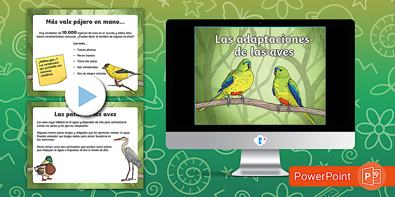 Presentación: Las adaptaciones de las aves
