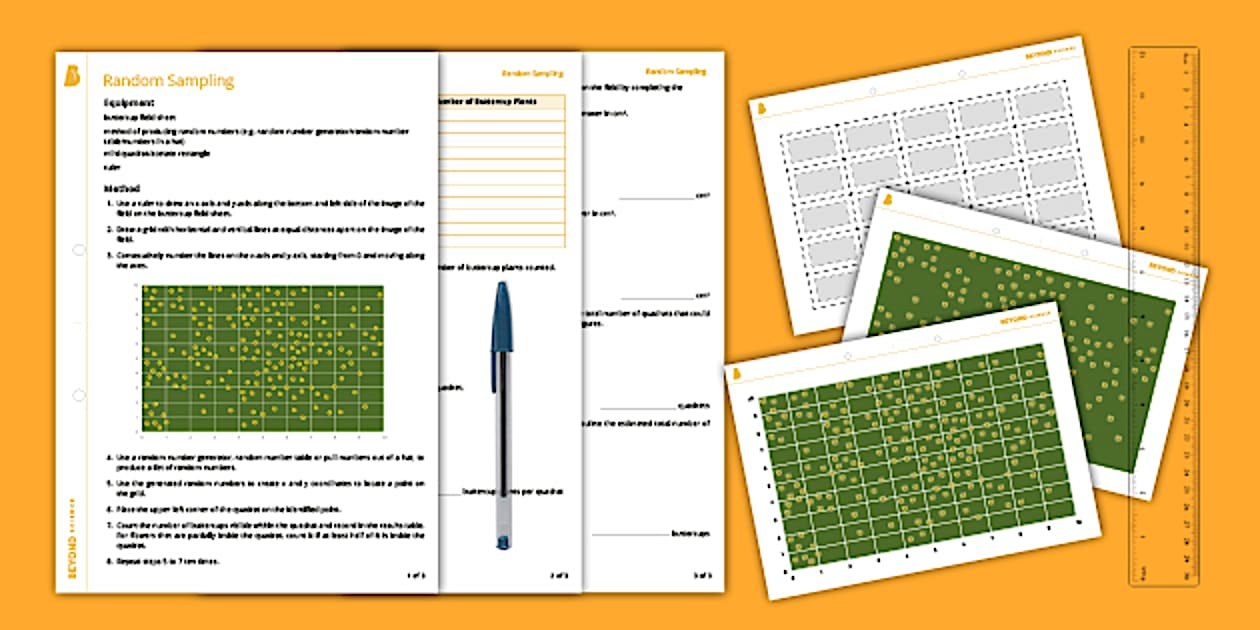 KS3 Random Sampling Classroom Investigation | Beyond Science