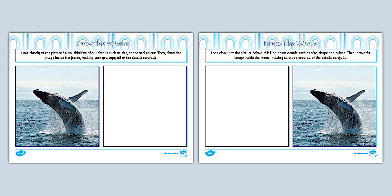 Draw the Whale Worksheet (Hecho por educadores) - Twinkl