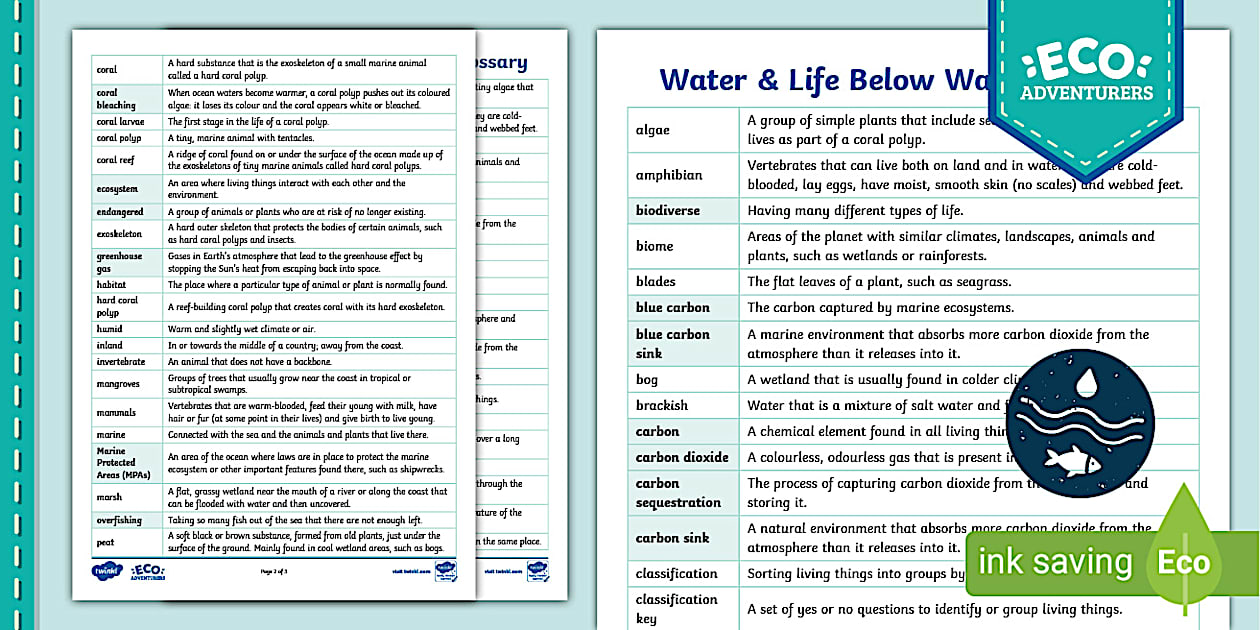 Year 4 Water & Life Below Water: Key Vocabulary Glossary