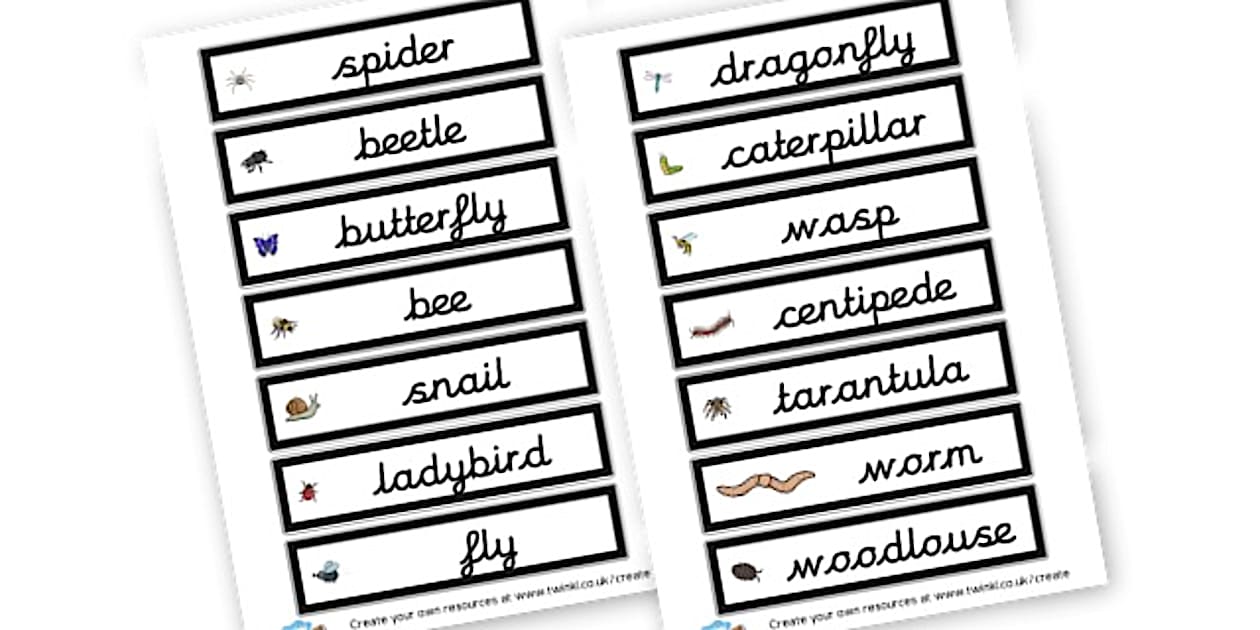 Minibeasts Word Cards - Australian Resources Display Primary Resources