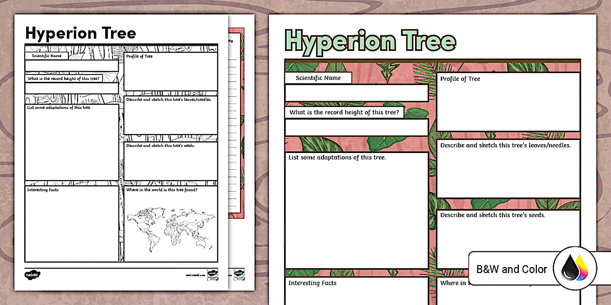 Hyperion Tree Graphic Organizer & Research Writing Page for 6th-8th Grade