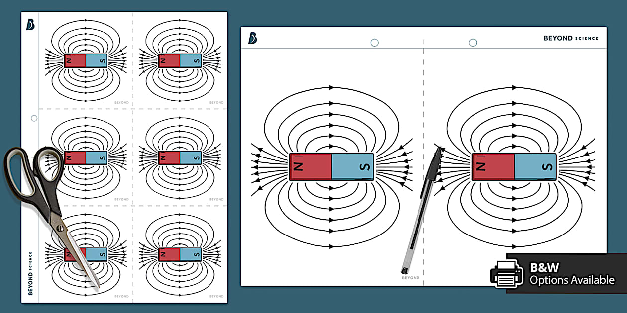 Magnetic Field Illustration | Science | Beyond Secondary