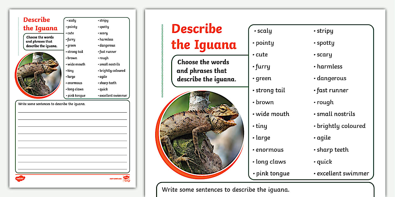 Describe the Iguana Writing Activity Sheet (teacher made)