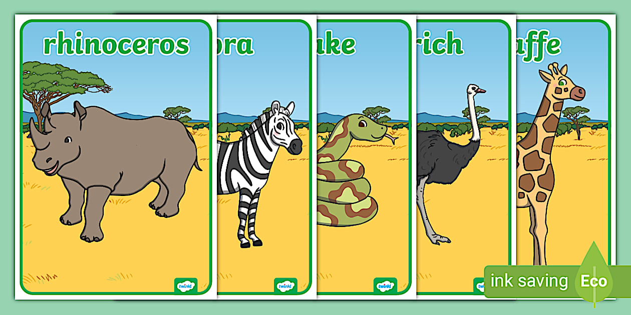 Safari Display Posters (Safari Background) (teacher made)