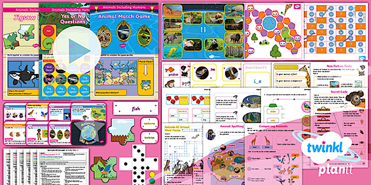 Common Animals | KS1 Guided Reading Pack | English & Science