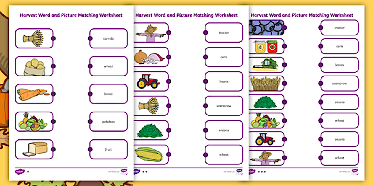 Black and White Harvest Word And Picture Matching Worksheet