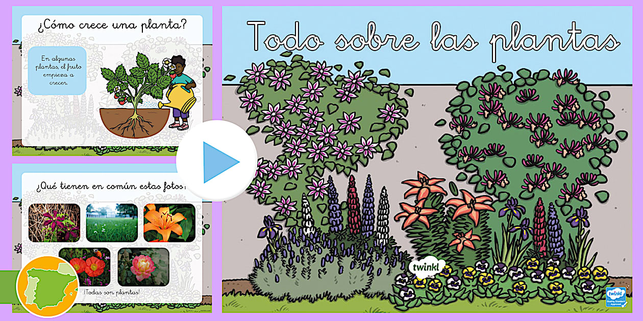 Presentación: Todo sobre las plantas
