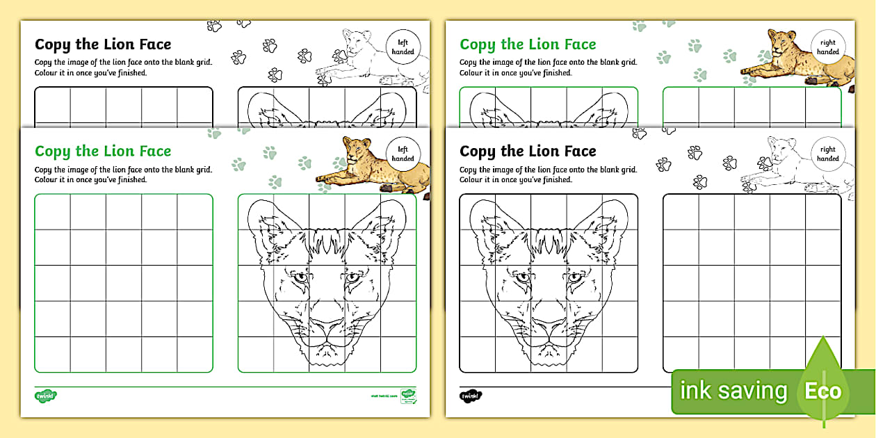 Copy the Lion Face Worksheet (Teacher-Made) - Twinkl