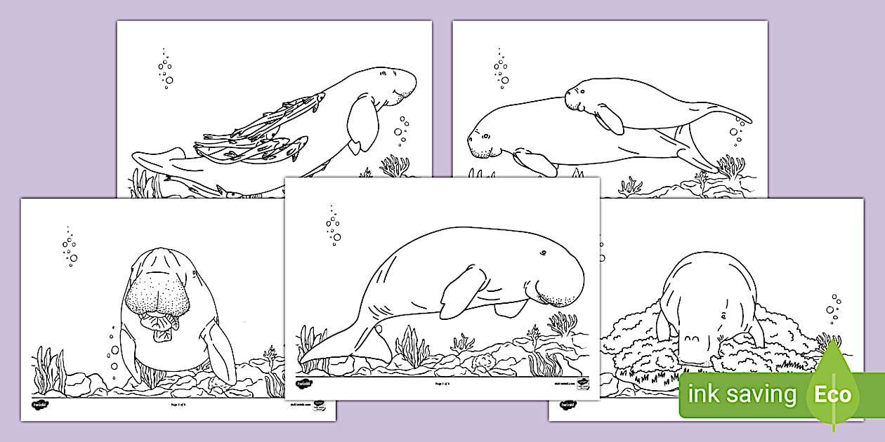 Dugong Colouring Pages (teacher made) - Twinkl