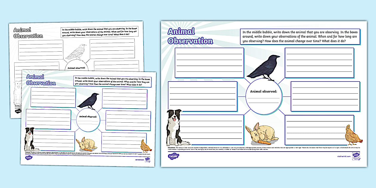 Animal Observation Mind Map (Teacher-Made) - Twinkl