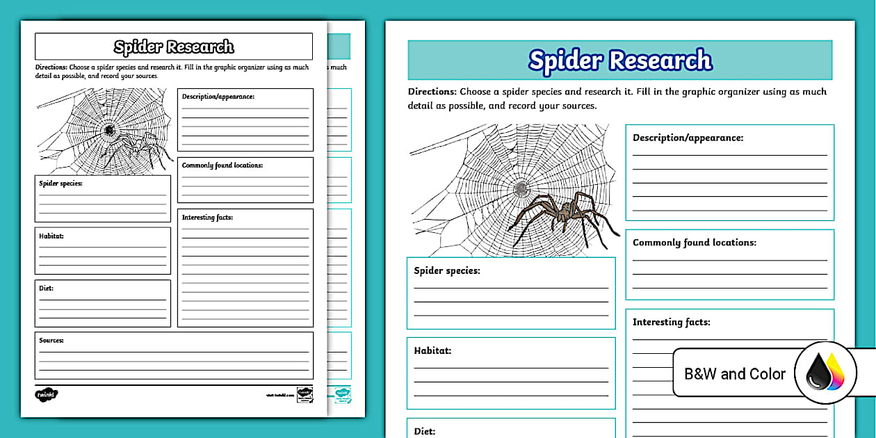 Spider Research Graphic Organizer (Teacher-Made) - Twinkl