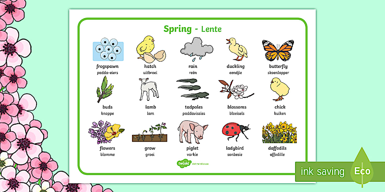 Spring Word Mat English/Afrikaans (teacher made) - Twinkl