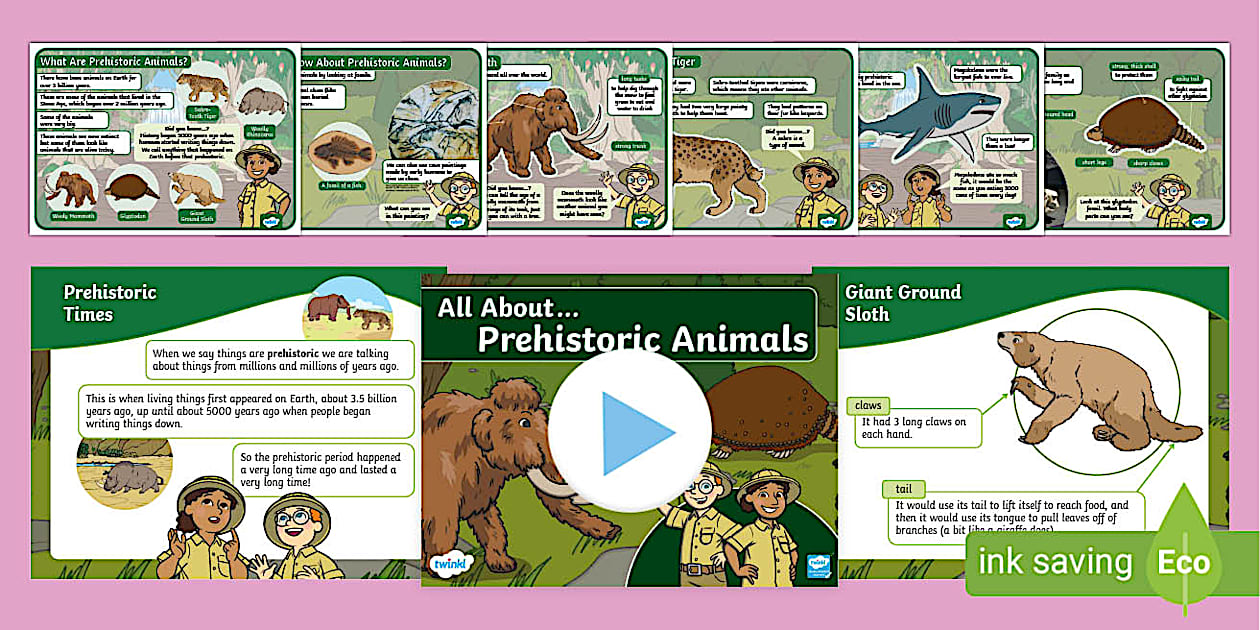 All About Prehistoric Animals Information Pack - Twinkl