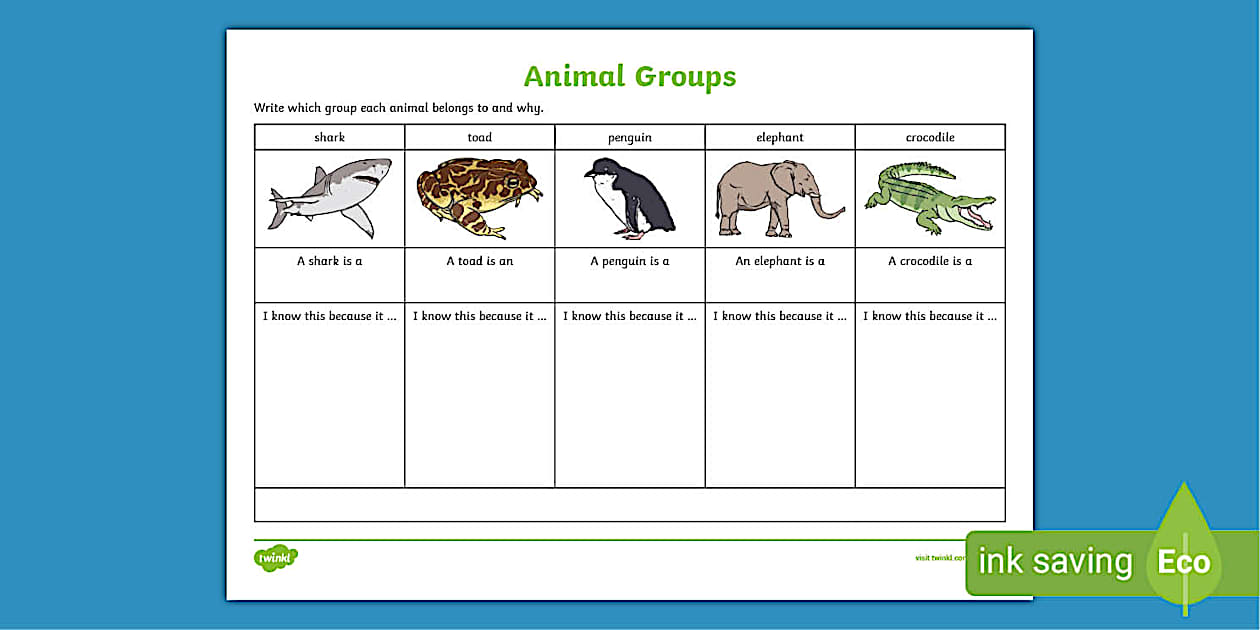 Animal Group Worksheet - Science Resource (teacher made)