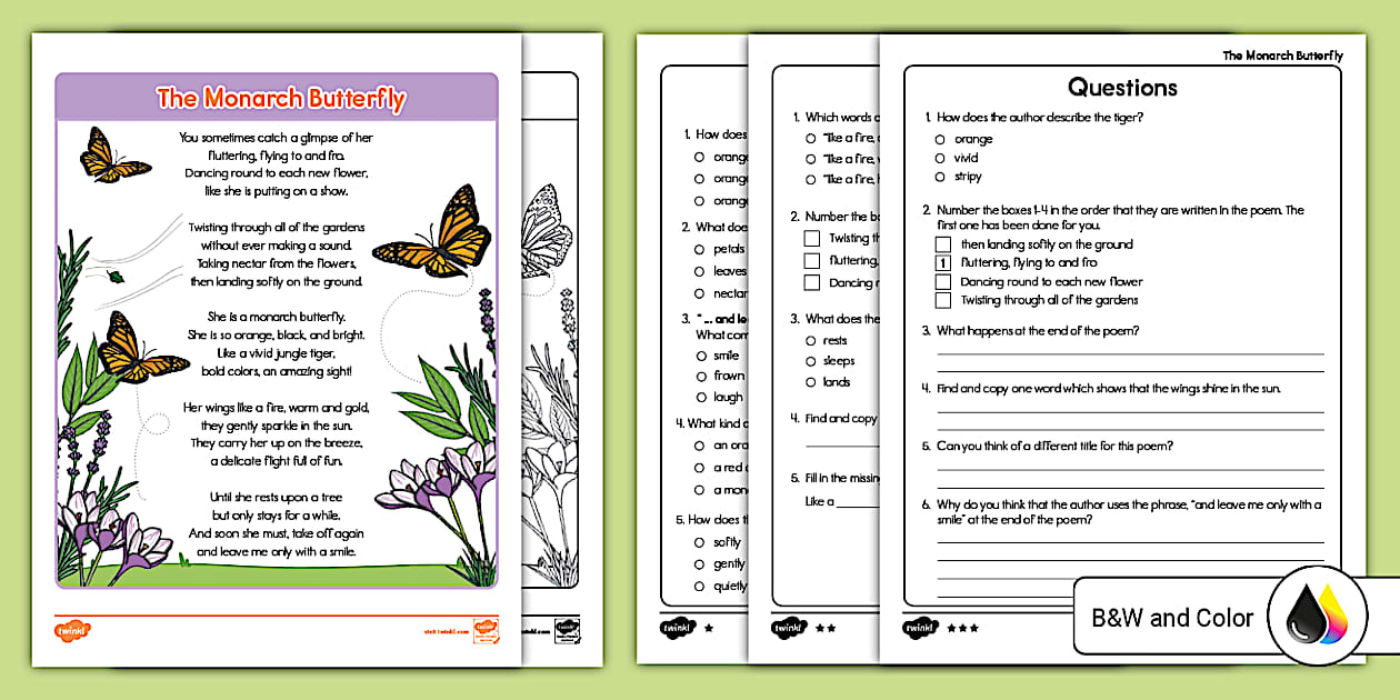 Monarch Butterfly Poem Analysis Activity Worksheet | Twinkl USA