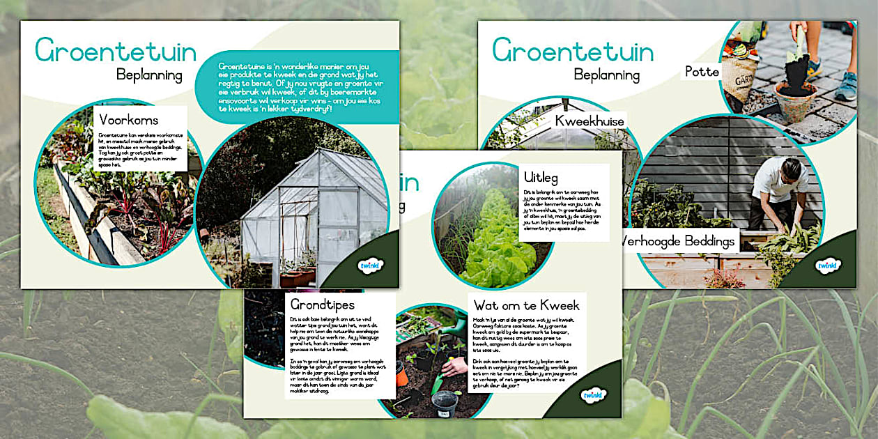 Groentetuin Beplanning