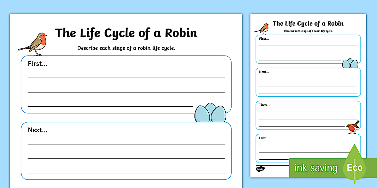 The Life Cycle of a Robin Writing Frame - Twinkl