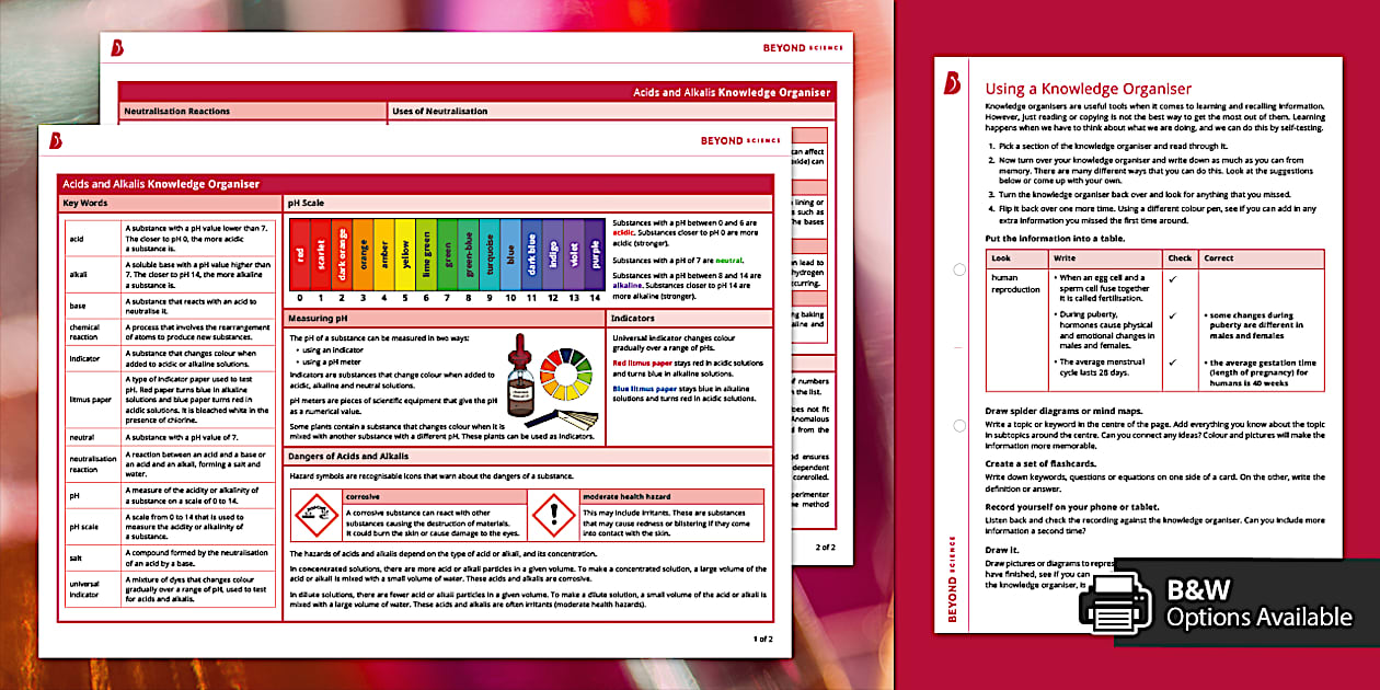 KS3 Acids and Alkalis Knowledge Organiser | Beyond Science
