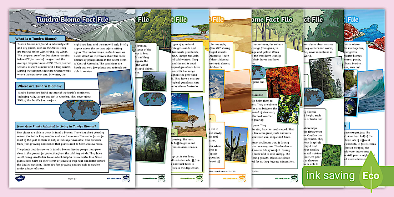 Biome Fact Files Pack (teacher made) - Twinkl
