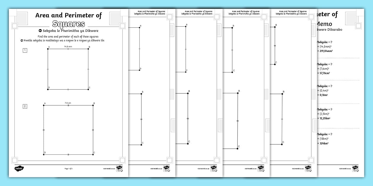 Grade 7 Maths: Area and Perimeter of Squares - Sepedi