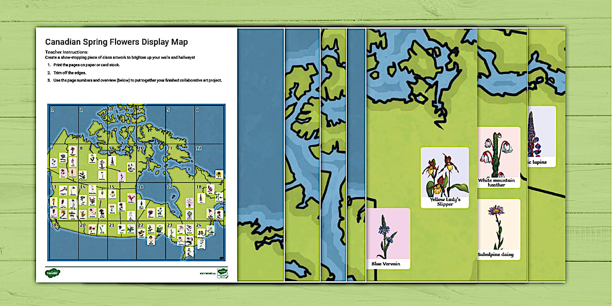Canadian Spring Flowers Display Map (Teacher-Made) - Twinkl
