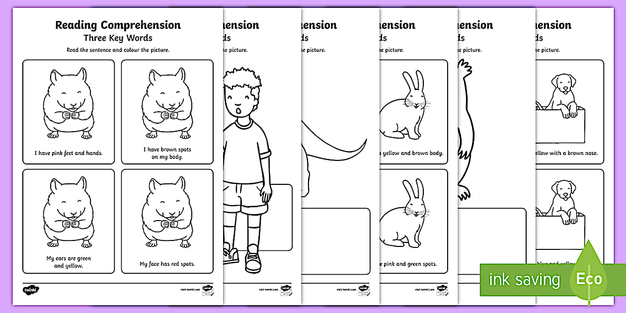 Three Key Word Reading Comprehension Worksheet / Worksheets