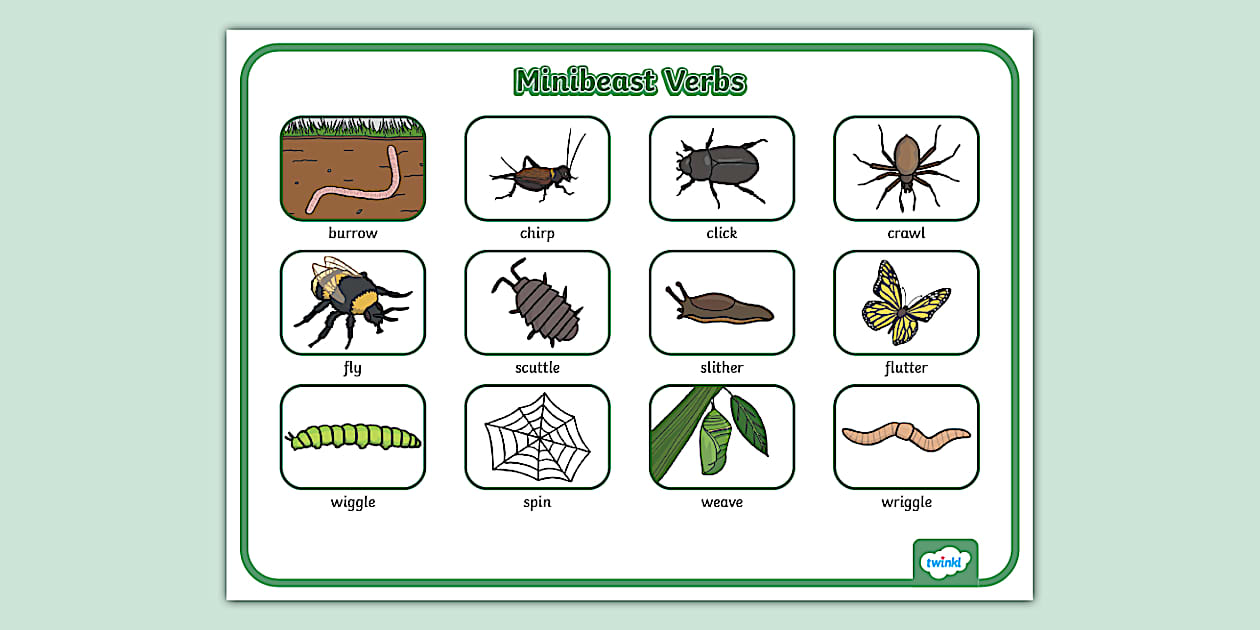 Minibeast Verbs Word Mat - KS1 - Writing - Minibeasts
