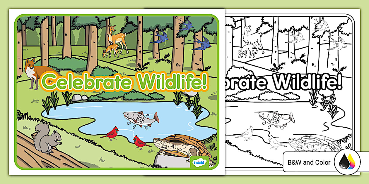 National Wildlife Week Poster | Wildlife Week | Twinkl USA
