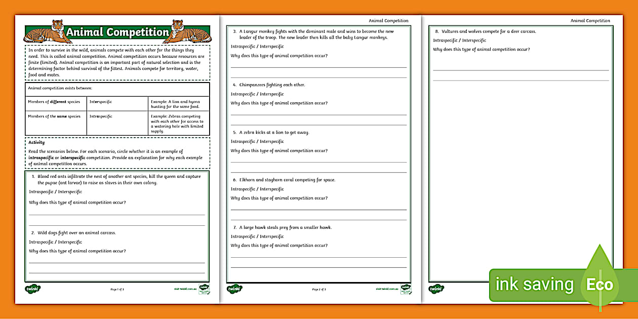 Animal Competition Activity Worksheets - Primary Resources