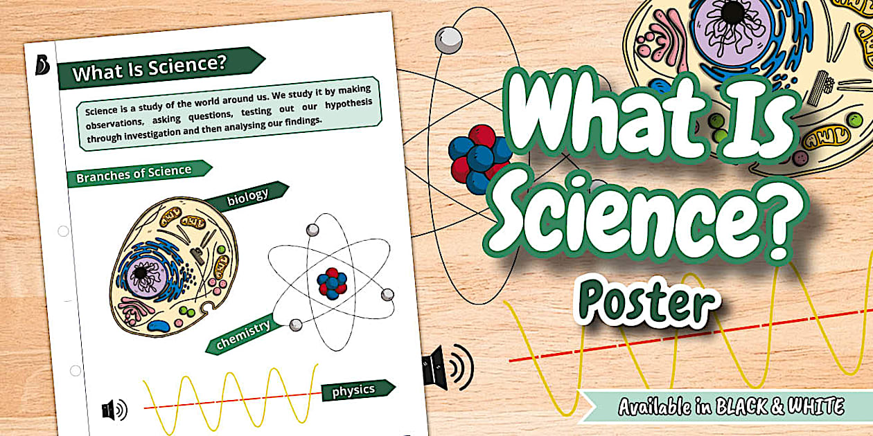 Introduction to Science – The Branches of Science Poster