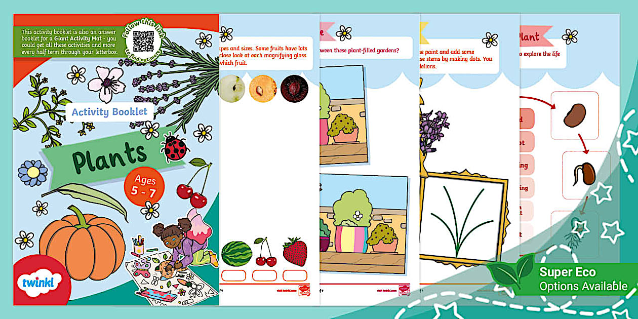 Plants Activity Booklet 5 to 7 years (teacher made) - Twinkl