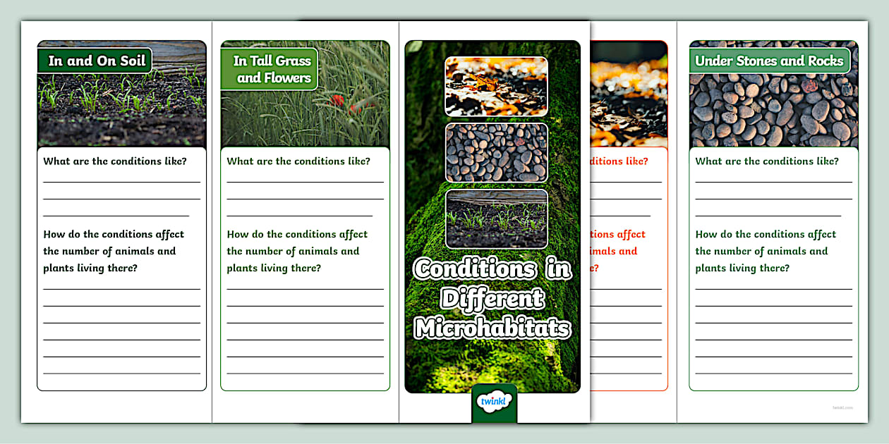 Conditions in Different Microhabitats Leaflet Template