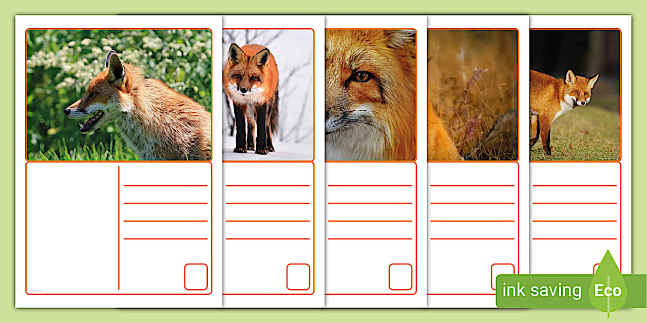 Fox Postcards (teacher made) - Twinkl