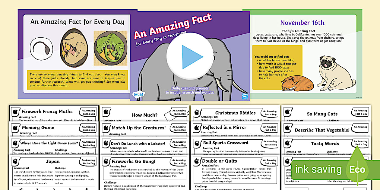 Amazing Fact of the Day November Worksheets
