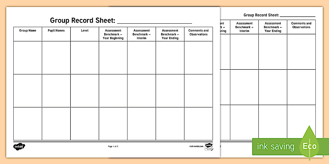 Group Record Planning Template - Twinkl